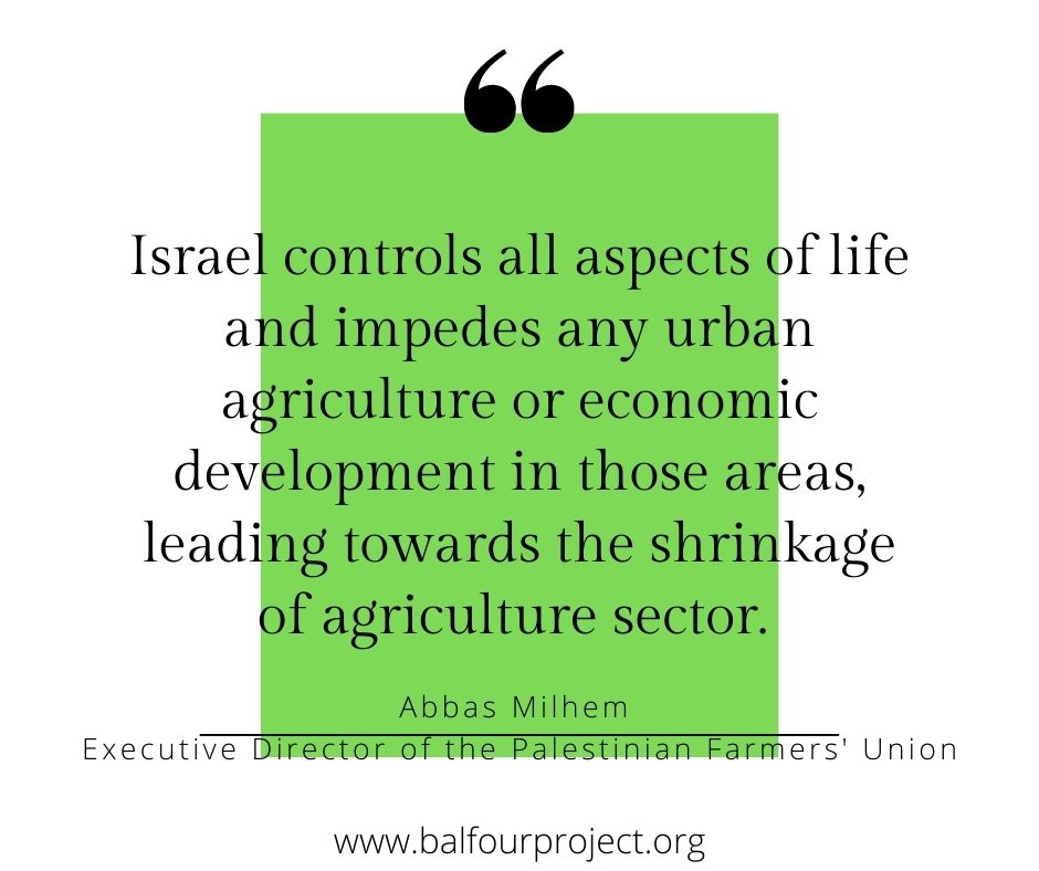 Abbas Milhem on Palestinian agriculture under occupation - Britain ...